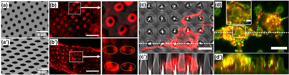 ME3T 2.0 - Teams and Projects Area D